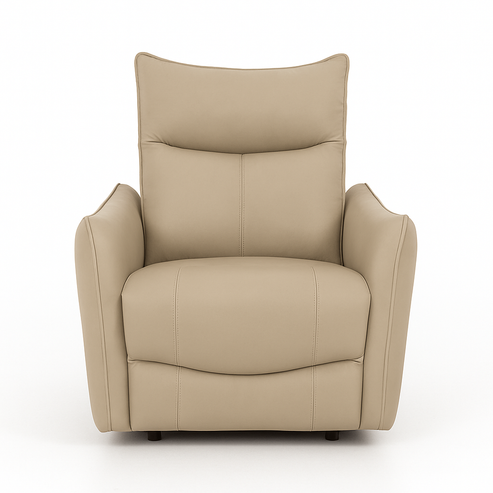 GRACE Chair Power Recliner w/ Adj Headrest/Lumbar Leather 800 ...